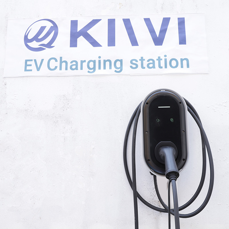 Start-up and billing method 2021 Best 7kw EVSE Wallbox Charger for DIY EV Charging